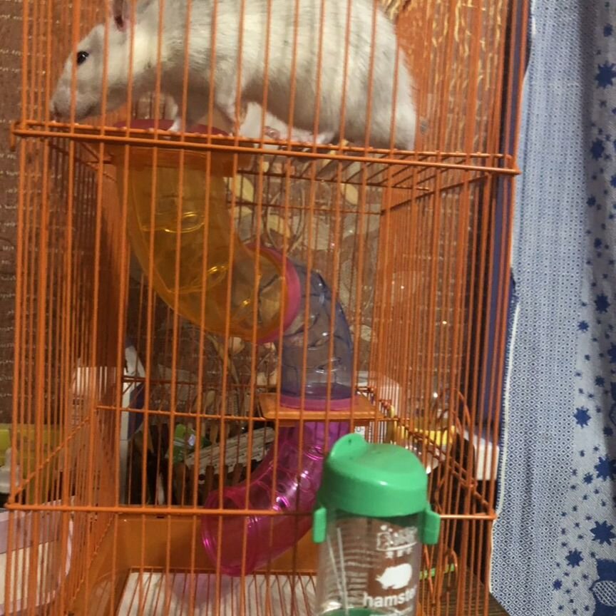 Клетка для грызунов