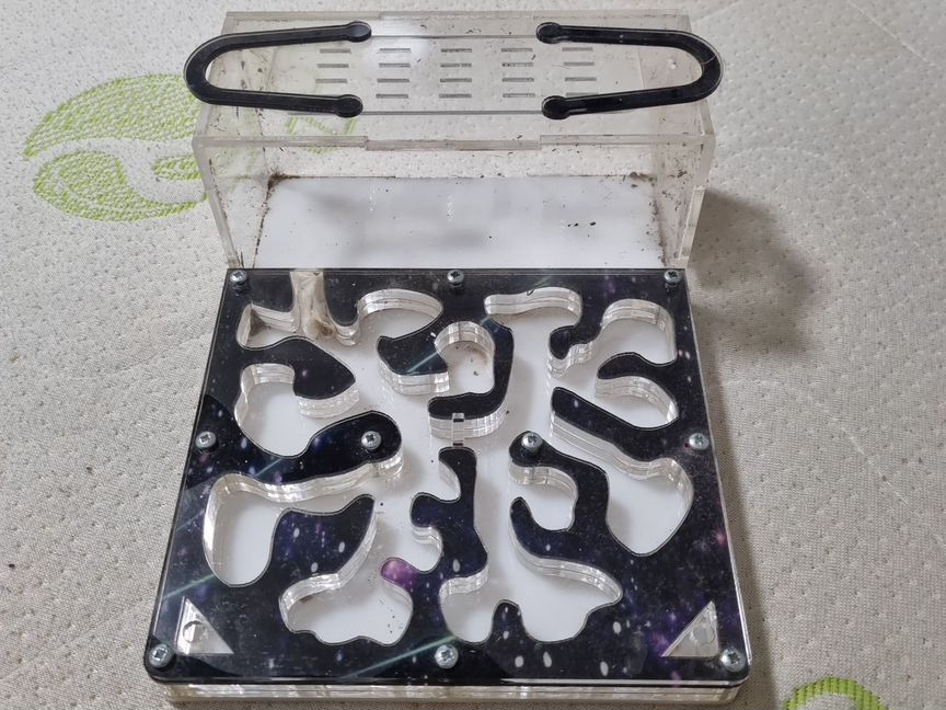 Аквариум для муравьёв