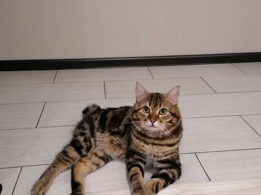 Услуги жениха