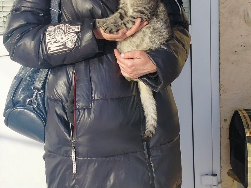 Зеленоглазый мальчик красавчик