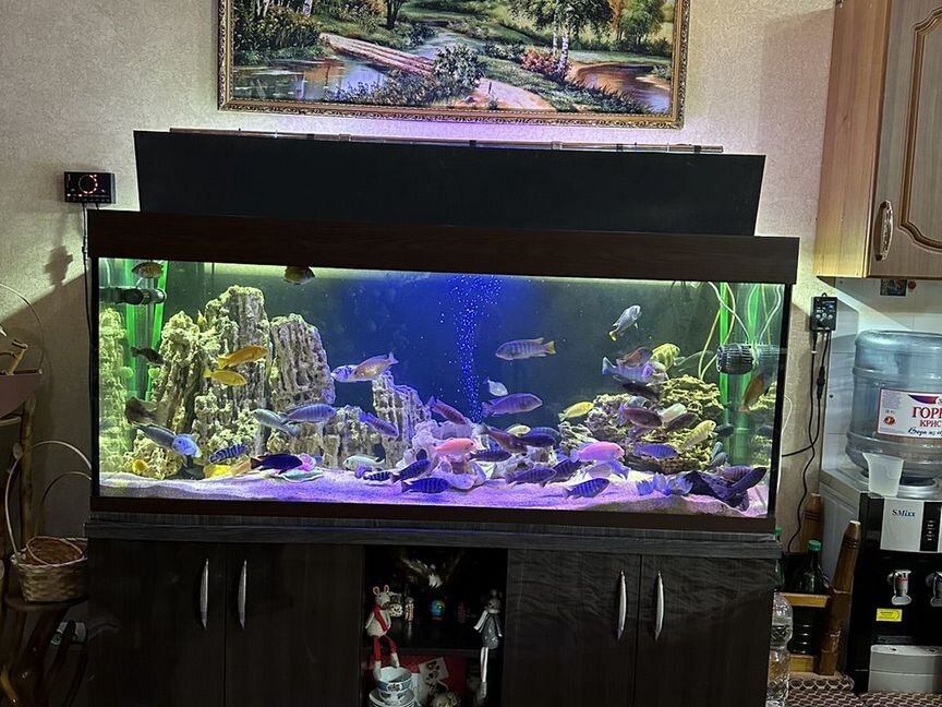 Аквариум действующий 500л