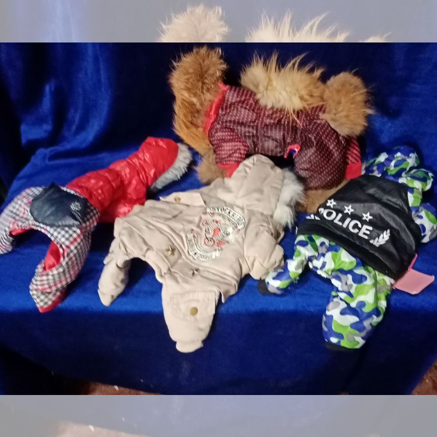 Комбинезоны зимние для мелких пород собак