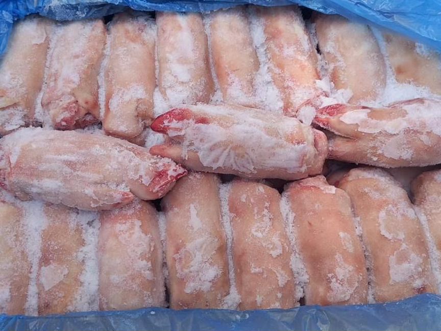 Ноги свинные передние