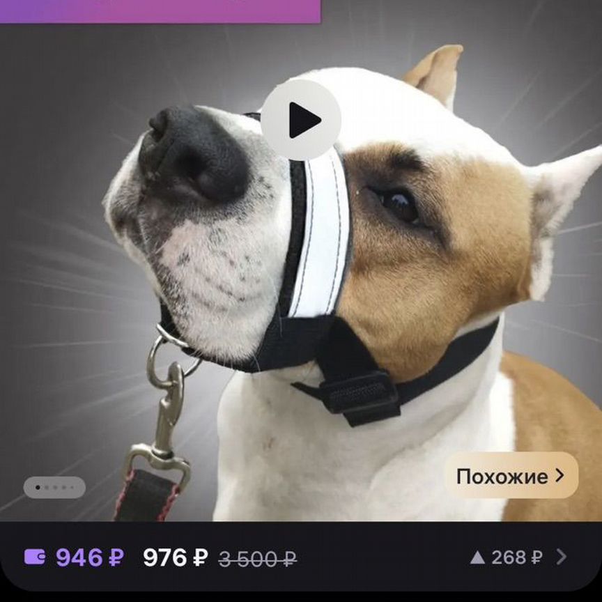 Недоуздок для собак