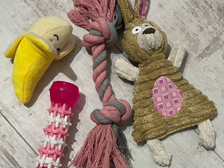 Игрушки для собак