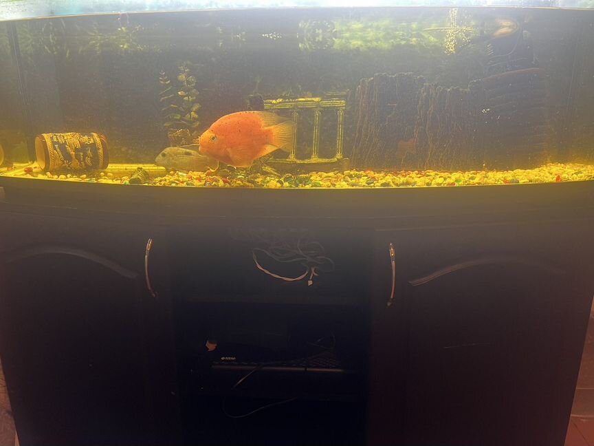 Аквариум со всем содержащим 340 литров