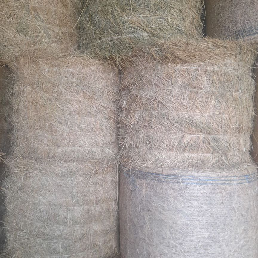 Сено суданской травы