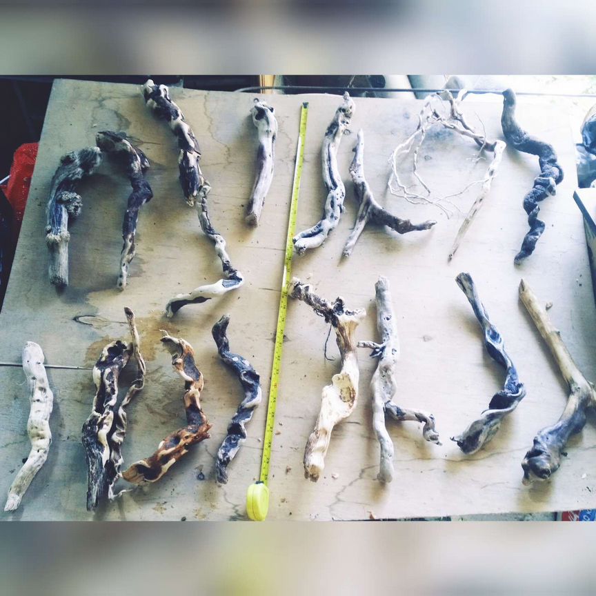 Коряги, много (аквариум/террариум)