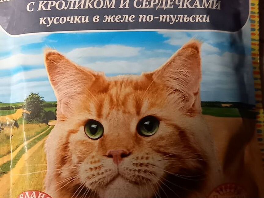 Влажный корм для кошек родные края
