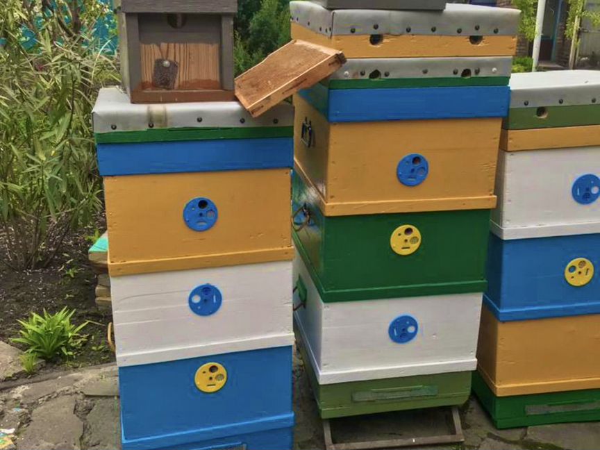 Улики новые