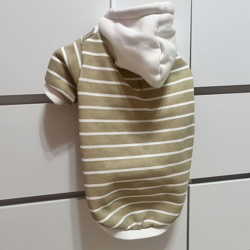 Костюм /кофта для собаки (Джек Рассел терьер)