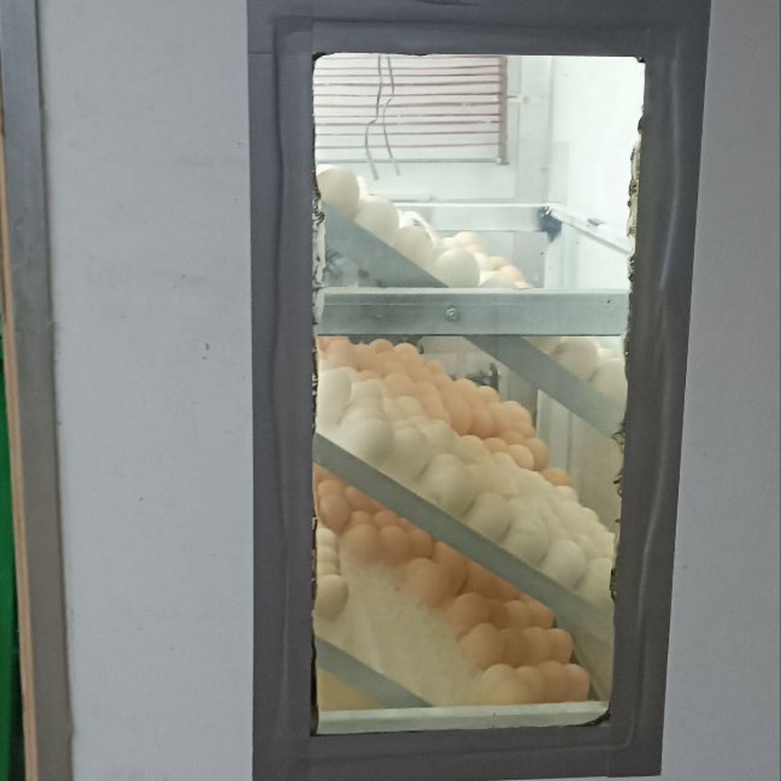 Инкубатор под заказ от 60 до 1000 штук яйц