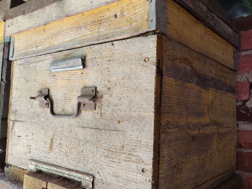 Улей для пчел