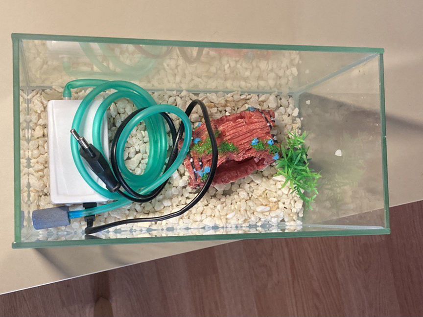 Аквариум 5 литров с компрессором