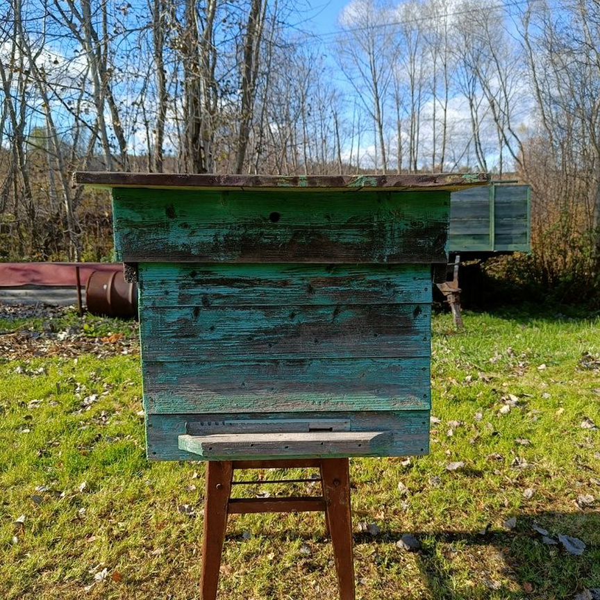 Ульи для пчел, 12-ти рамочные