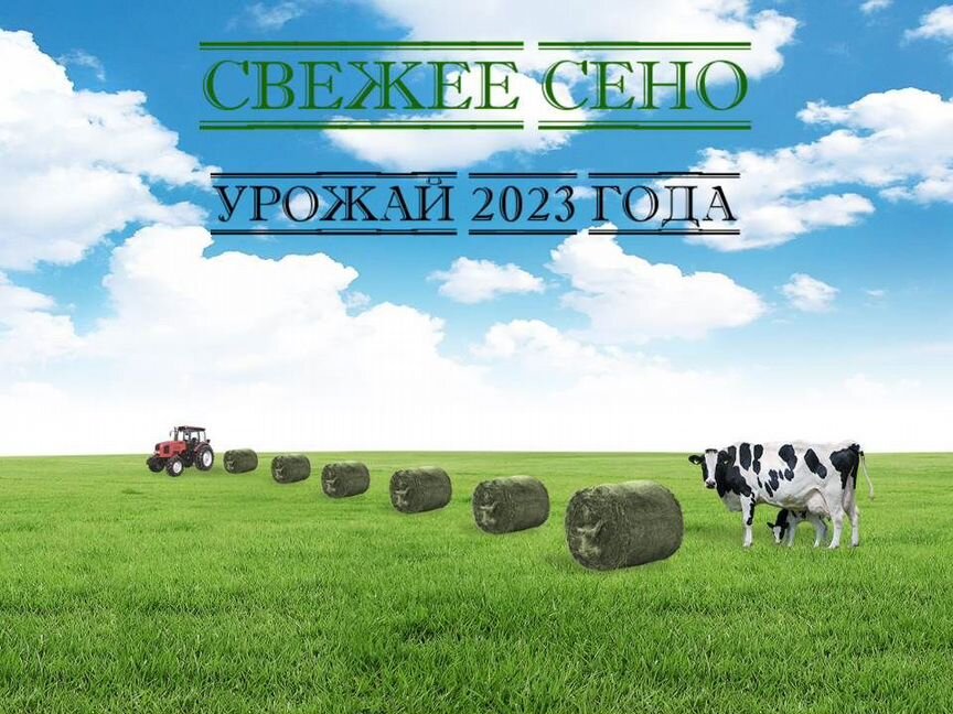 Продажа сена в рулонах