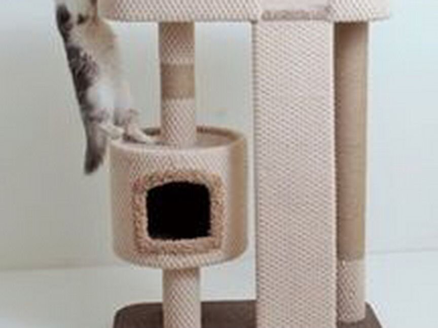 Когтеточки для кошек кошек, в ассортименте, новые