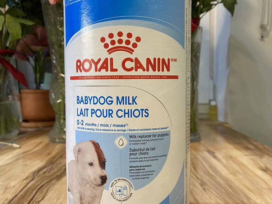 Сухое молоко для щенков Royal Canin