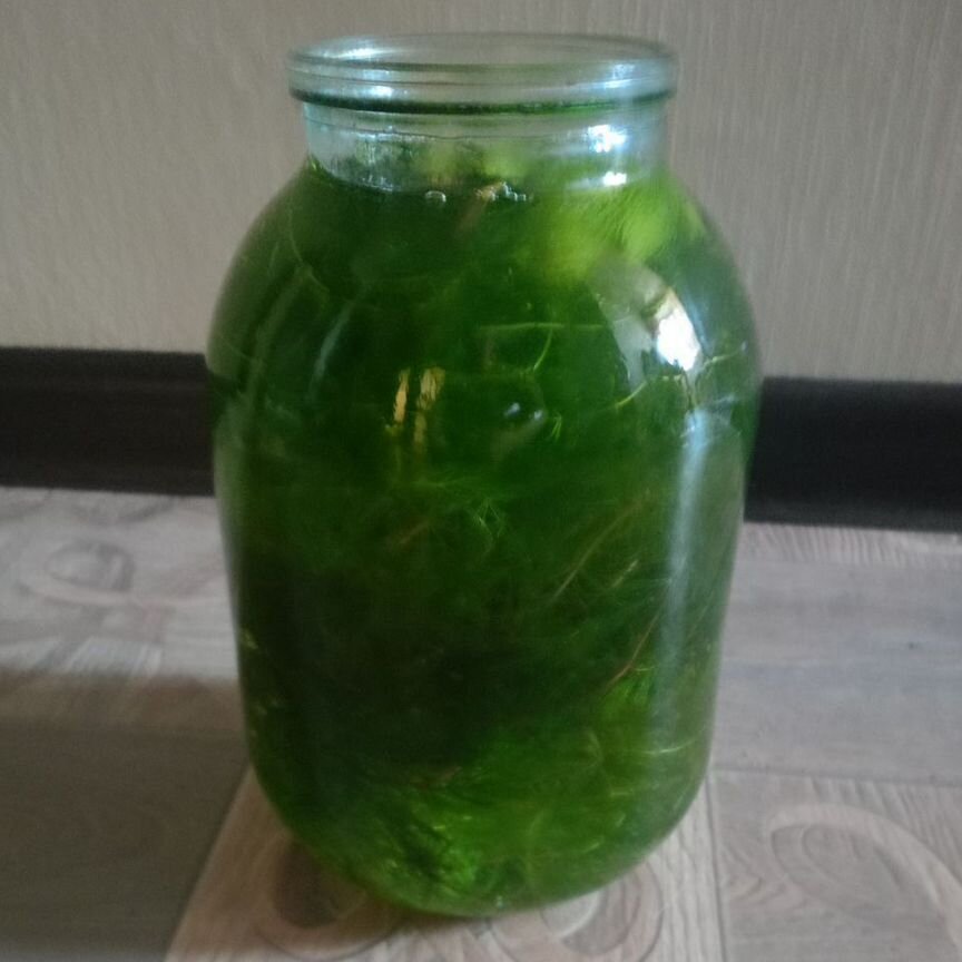 Роголистник в аквариум, мох