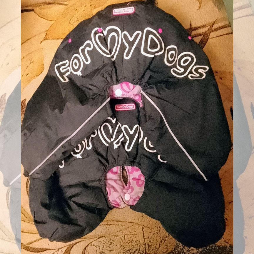 Одежда для собак