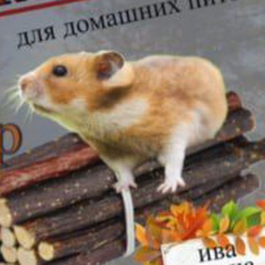 Лакомства для грызунов