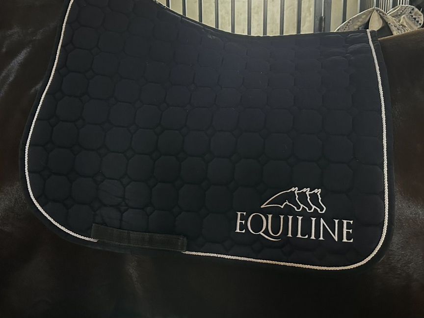 Вальтрап Эквилайн Equiline