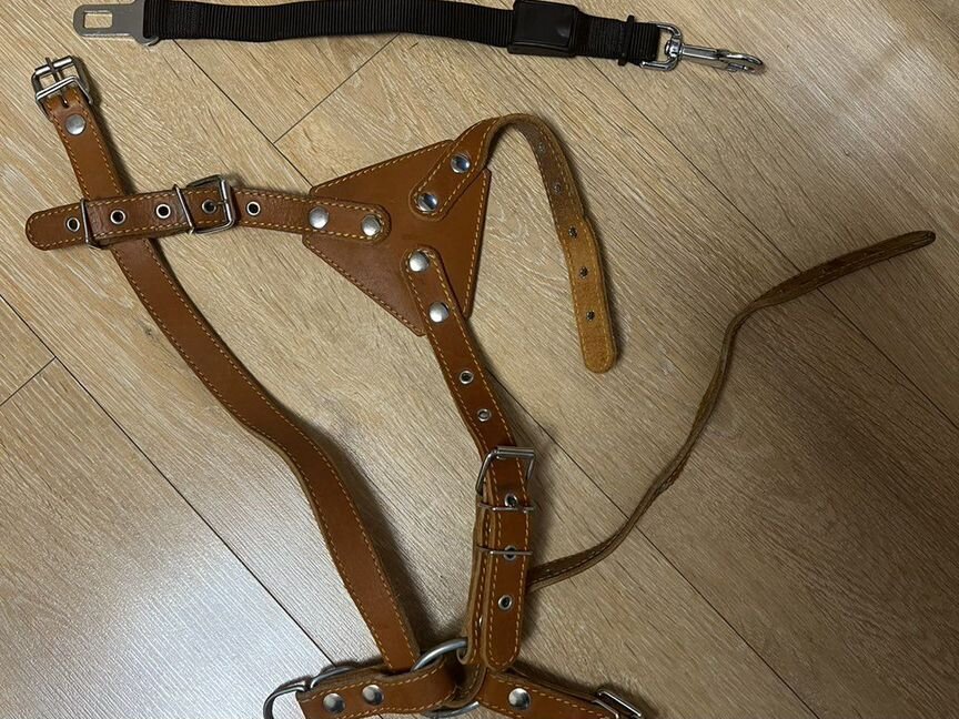 Кожанная шлейка