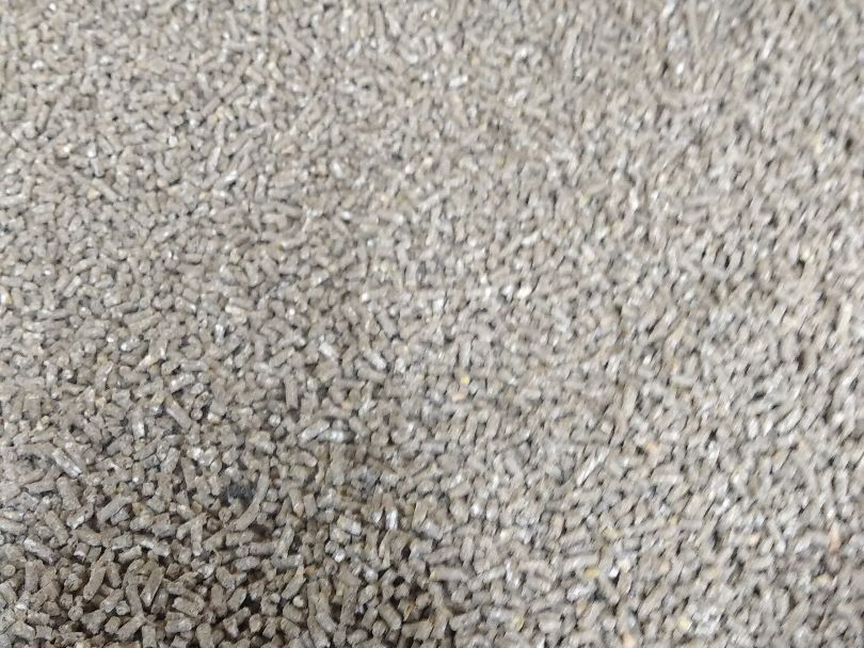 Речная ракушка