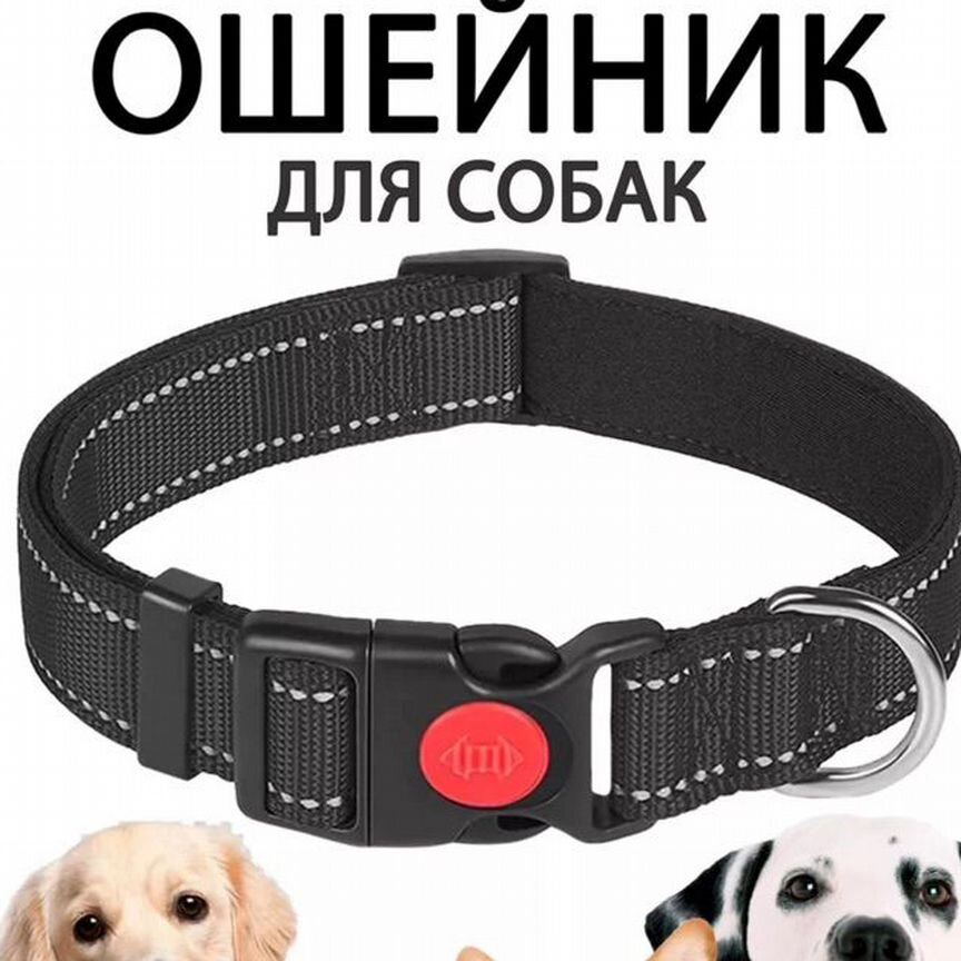 Ошейник для собак
