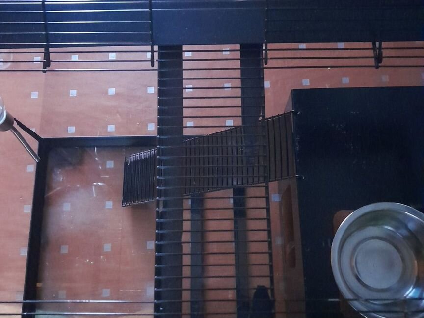 Аквариум террариум