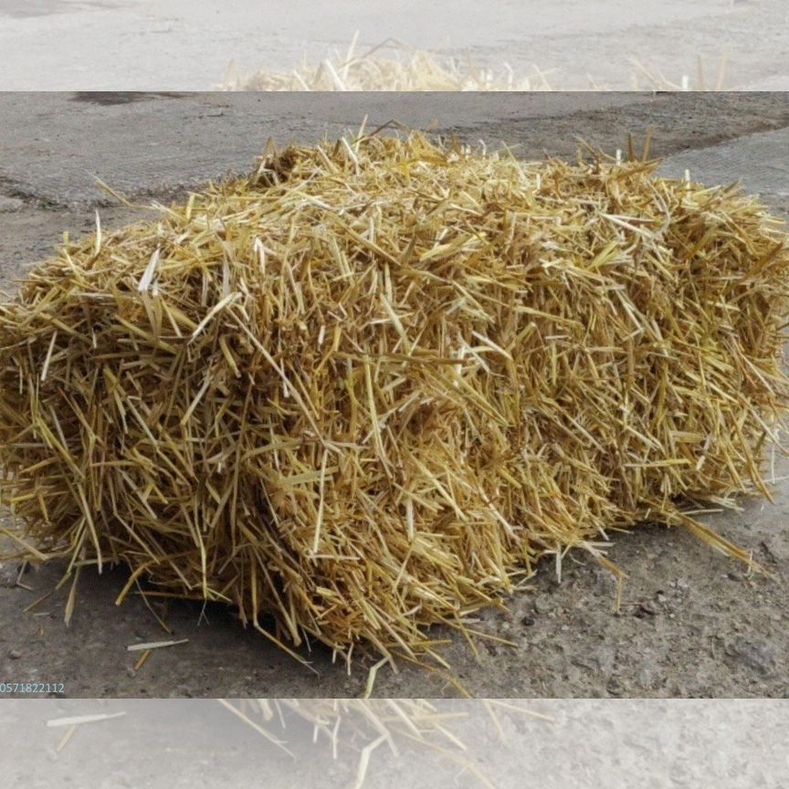 Солома в тюках