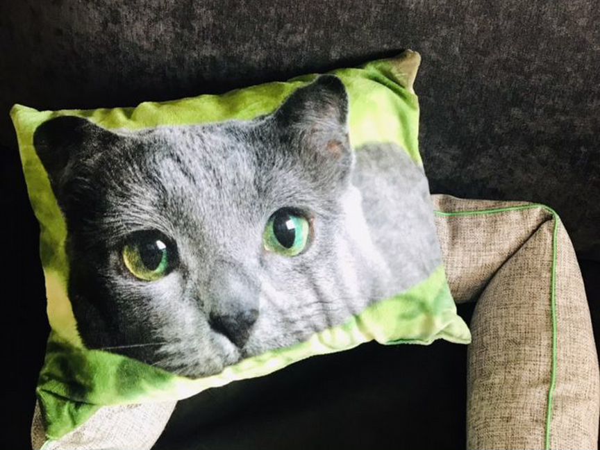 Новая Лежанка для кошки или маленькой собачки