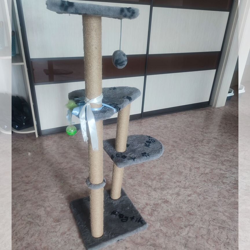 Когтеточка
