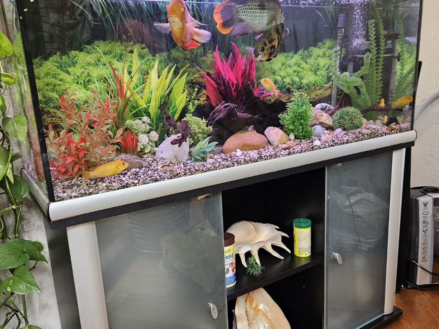 Аквариум Акваатлантис