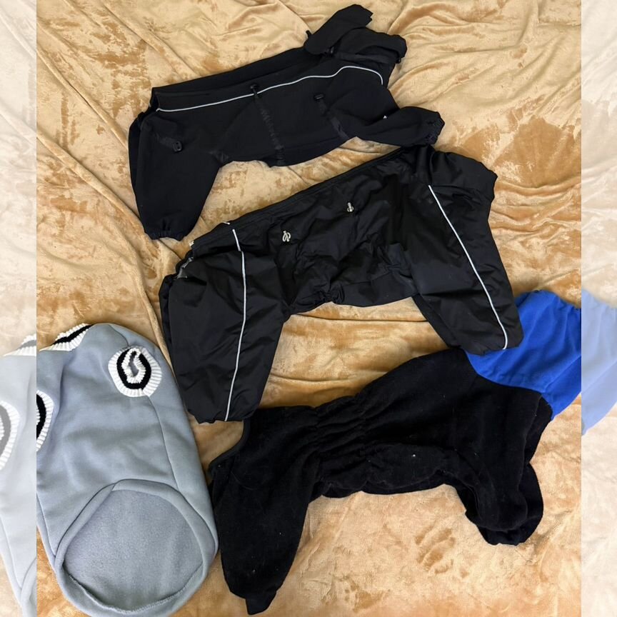 Одежда для собак