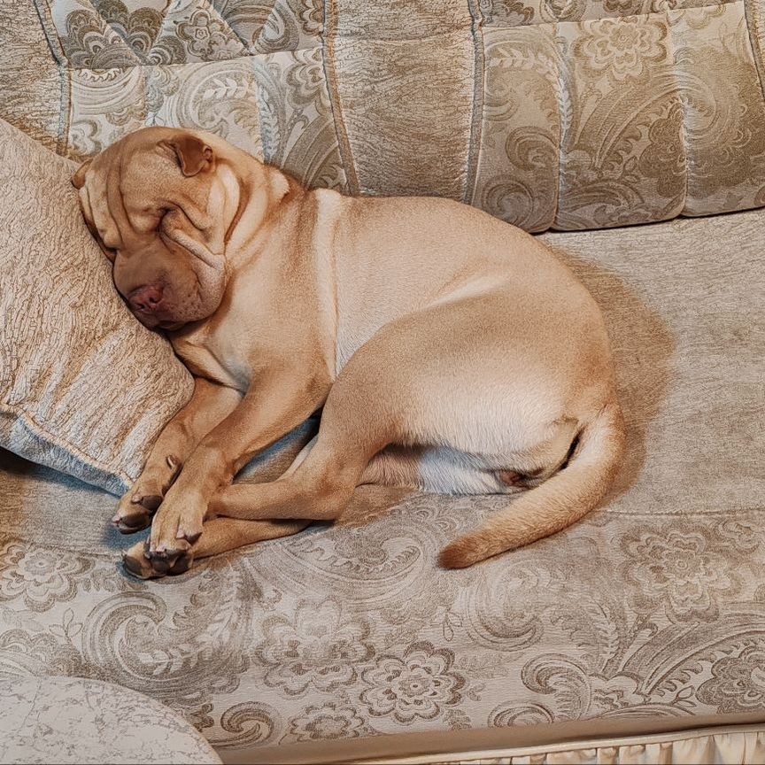 Ищем жениха