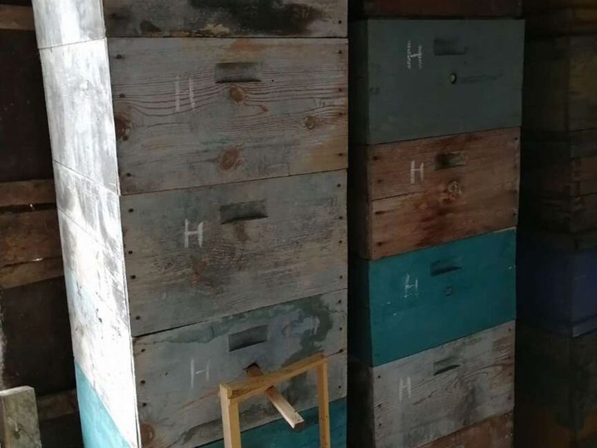 Корпуса для ульев рута