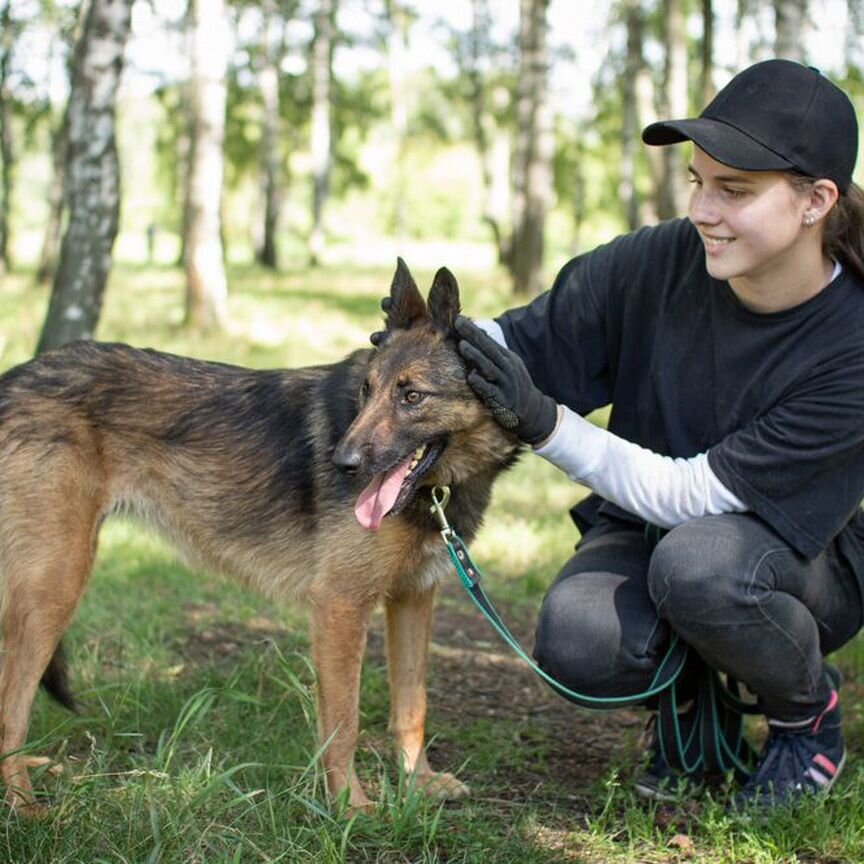 Ласковая Зира в добрые руки
