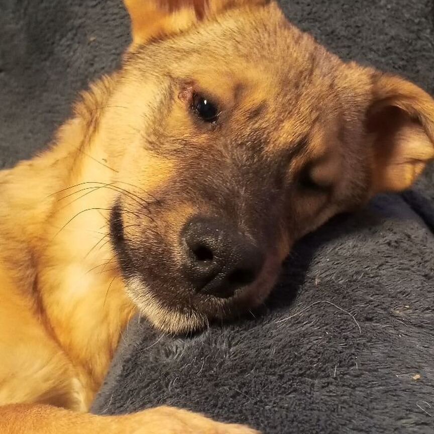 Рей мальчик