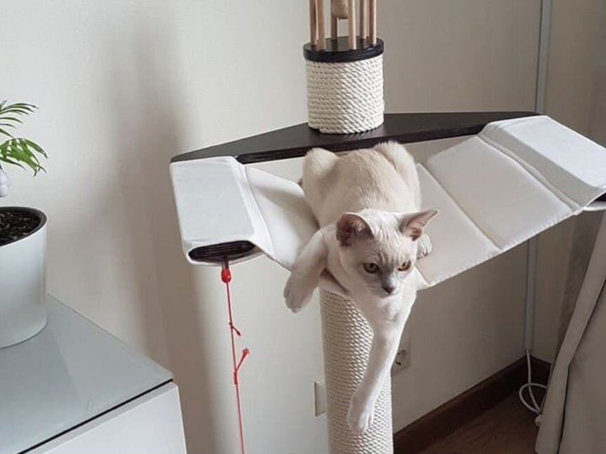 Когтеточка для кошек новая