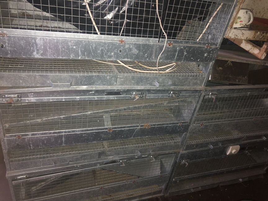 Клетки для бройлеров, кур, птиц