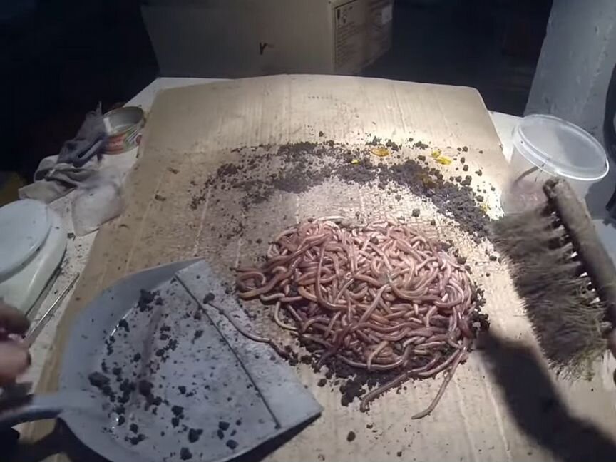 Продам вермиферму