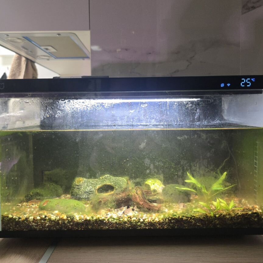 Аквариум xiaomi 20 литров с рыбками