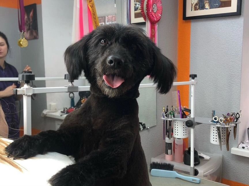 Малышка в добрые руки