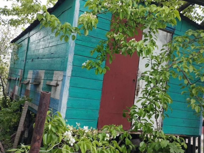 Павильон для пчел