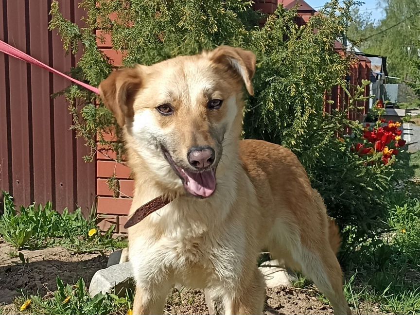 Тесса с забавными ушками, 9 месяцев