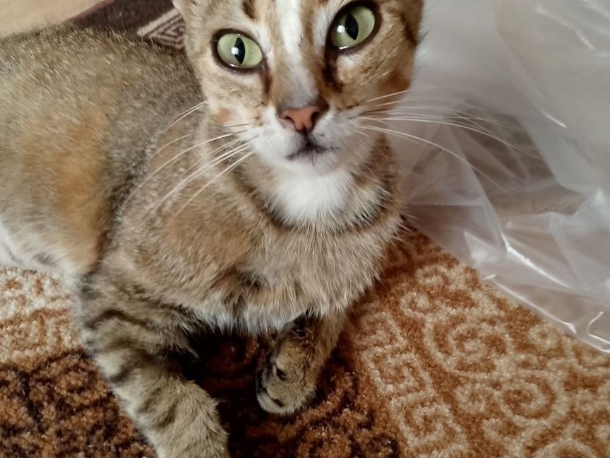 Здесь долго не живут