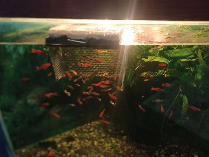 Аквариум с тумбой бу