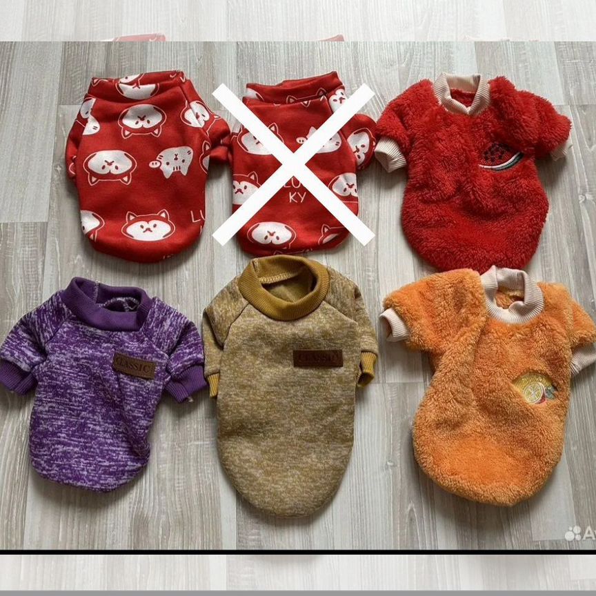 Одежда на щенка чихуахуа