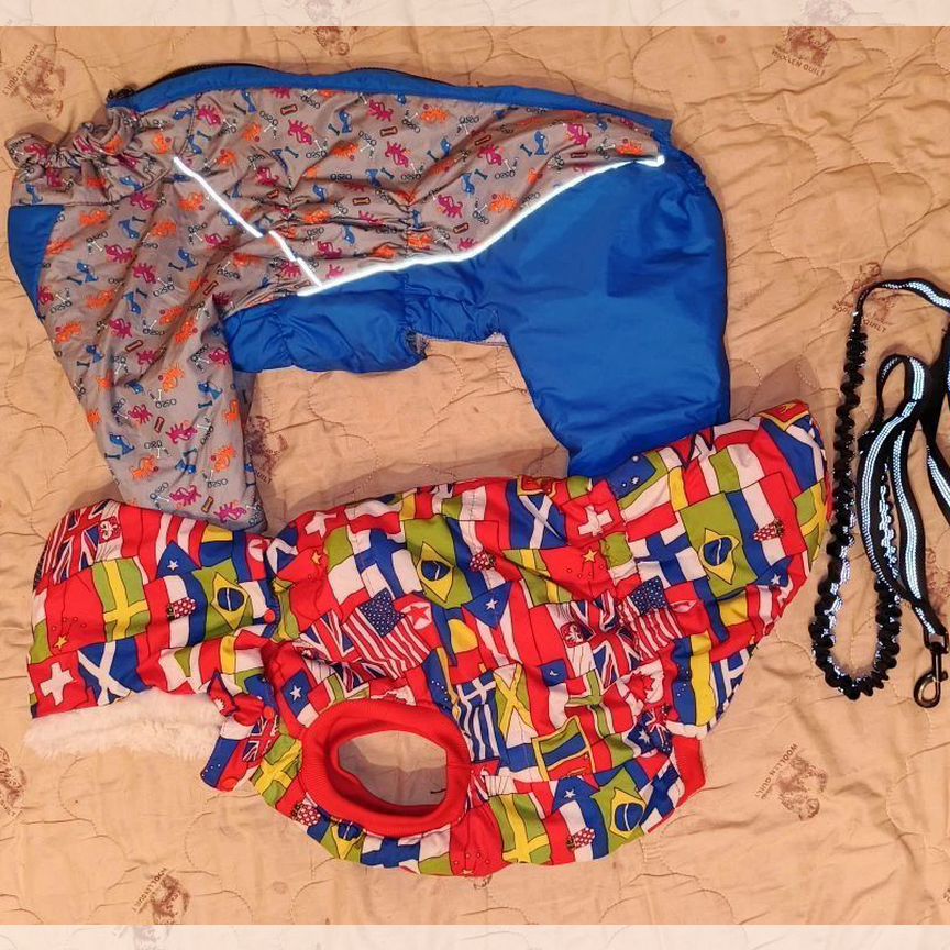 Одежда и поводок для собаки